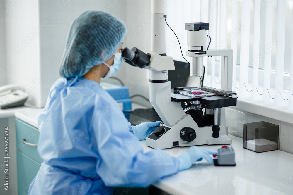 Light microscope. Counting of colony-forming units of cord blood ...