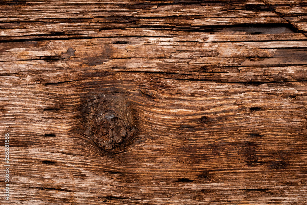 Wood texture red cedar plank ,close up of burl and knots , knotty grain ...
