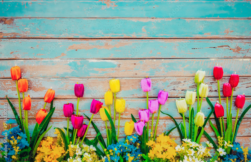 Colorful Borders And Frames Landscape