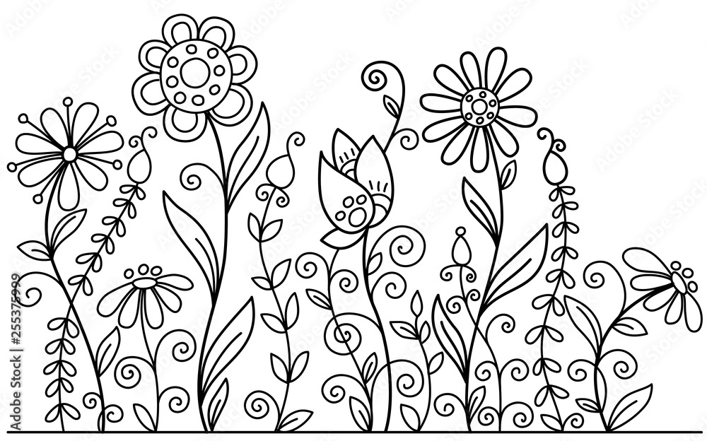 Linear pattern made of decorative flowers and plants nature of wild ...