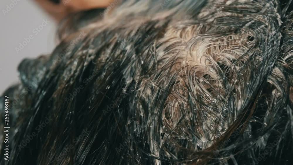 The overgrown gray roots of a middle-aged woman who colouring her hair ...