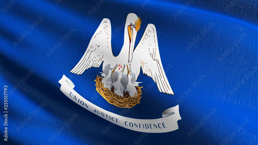 Official Louisiana Flag