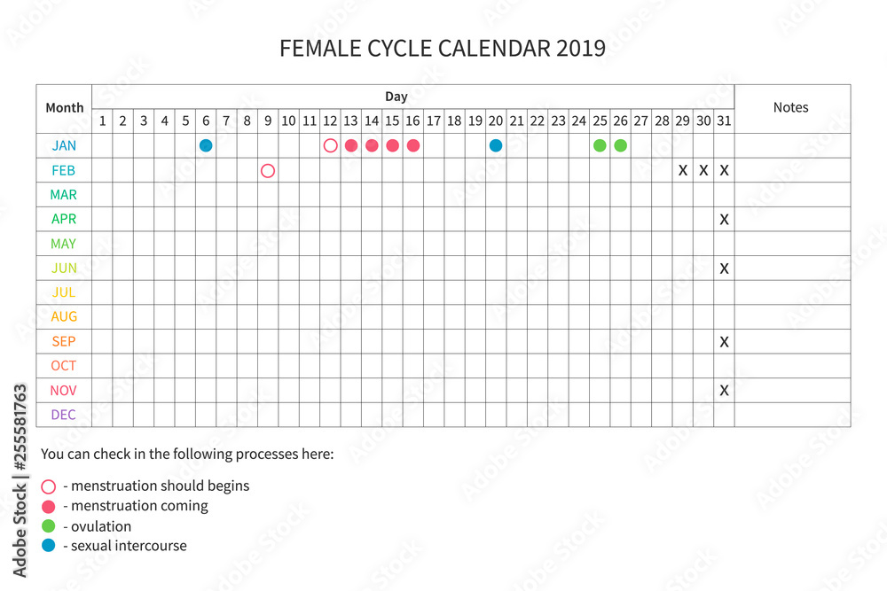 Vector calendar of the female's cycle. Monthly menstrual cycle. Women ...