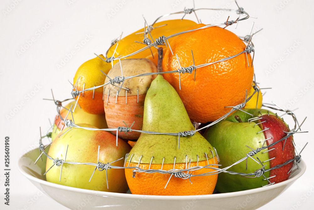 GMO foods. GMO concept genetically altered or modified food. Hybrids of ...