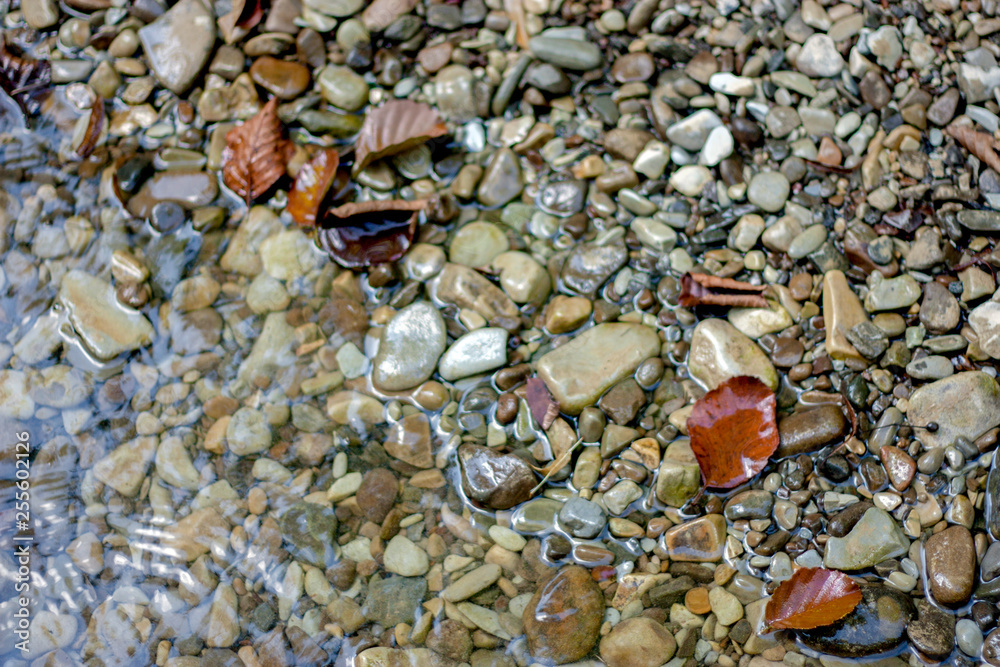 Wet stone pebbles in the river. Pebble and colored pebbles in the water ...