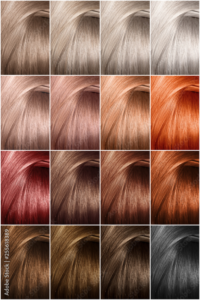 Hair color palette with a wide range of samples. Samples of dyed hair ...