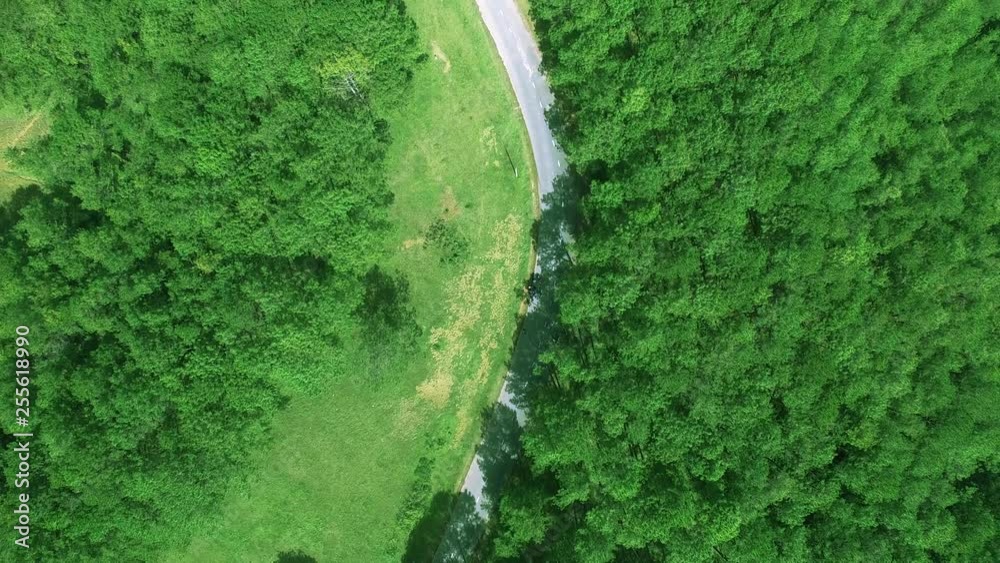 The forest in Da Lat, Lam Dong in ariel view by drone | 4k aerial of ...