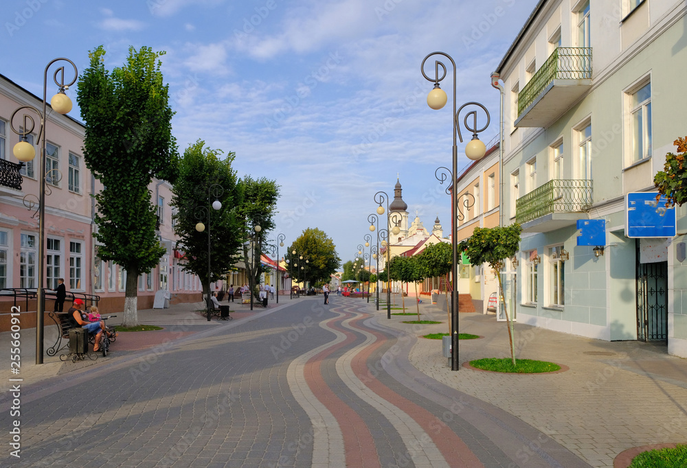 Catholic church of the Assumption of the Blessed Virgin Mary. Pinsk ...