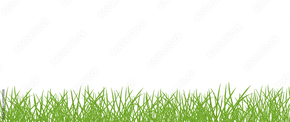 Grass Border Png