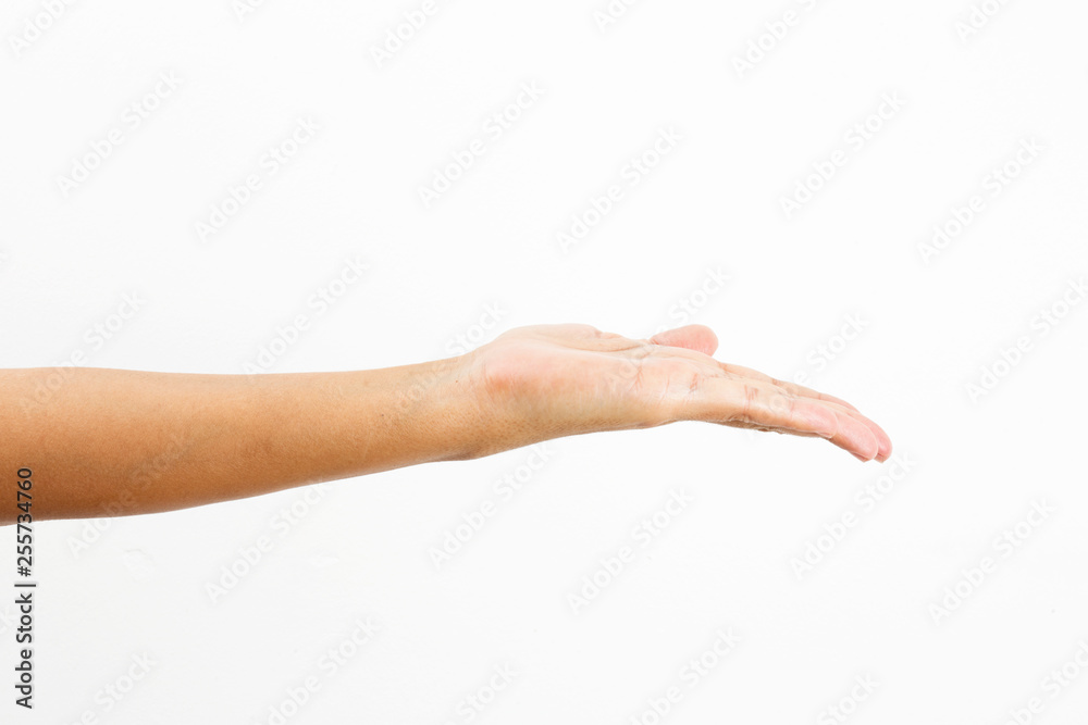 lady hand gestures - white background Stock Photo | Adobe Stock