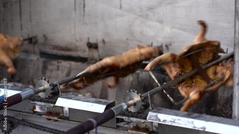 Vidéo Stock Roasted suckling pig or barbecued suckling pig in skewer on ...