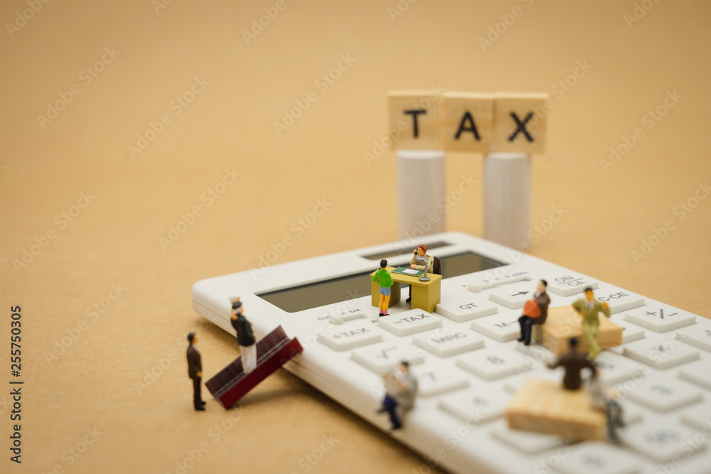 Miniature people Pay queue Annual income (TAX) for the year on ...