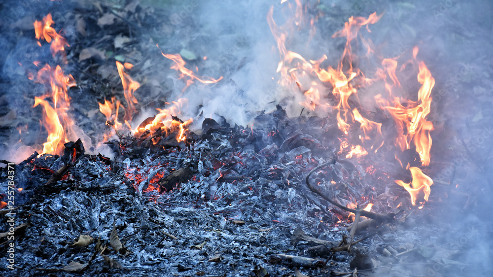 fire brigade is extinguishing with little flames and black ash and ...