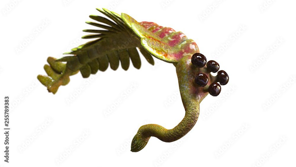 Opabinia regalis, prehistoric aquatic animal from 505 million ago to ...