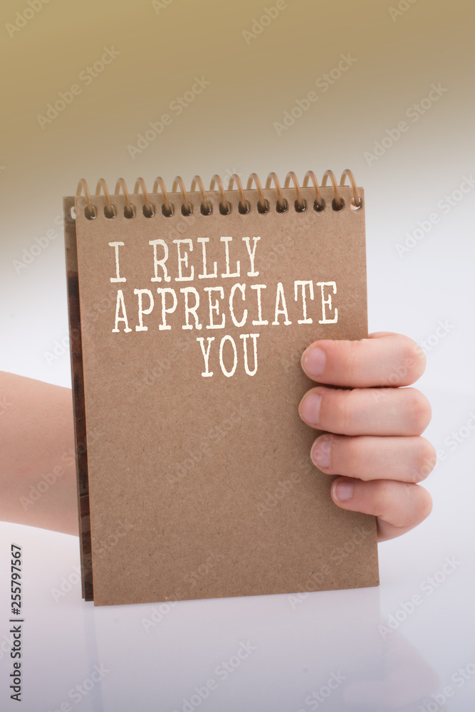 Hand holding notebook with I really appreciate you wording Stock Photo ...
