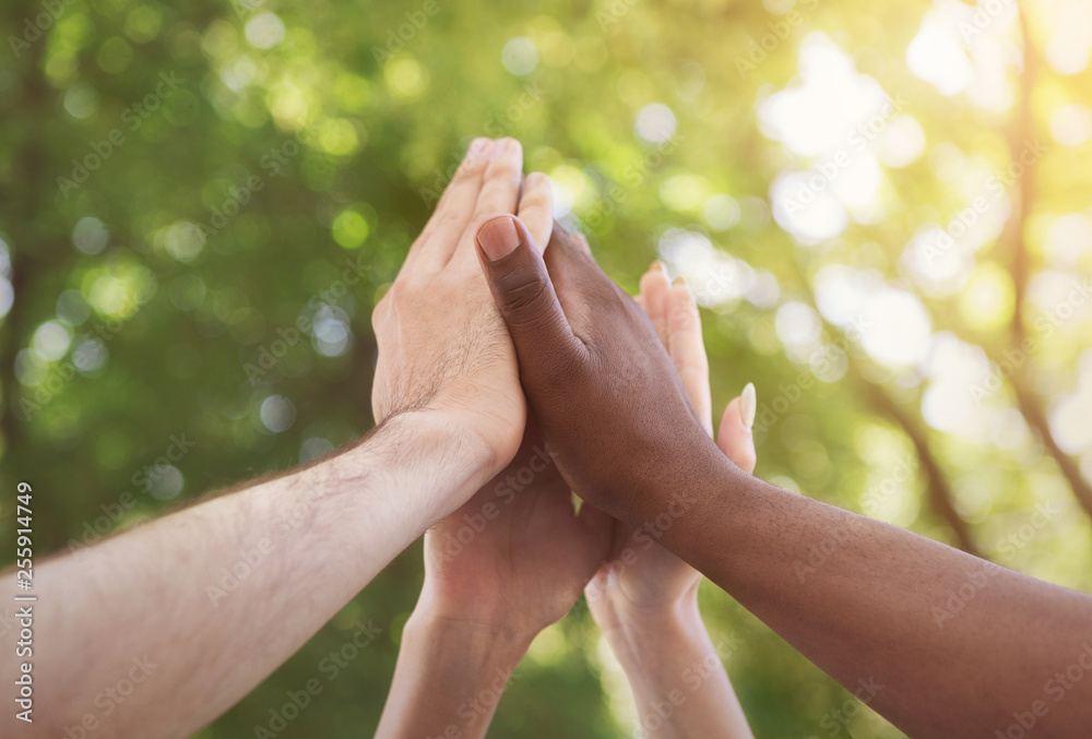 Business team giving group high five in park Stock Photo | Adobe Stock