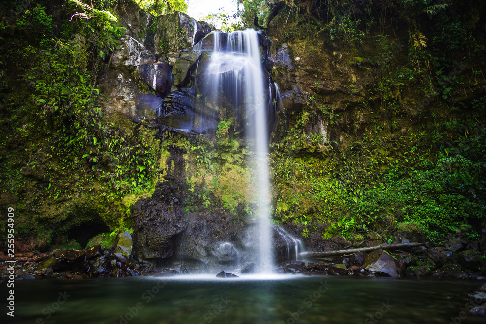 Wasserfall Lost Waterfalls Boquete Panama Stock Photo | Adobe Stock