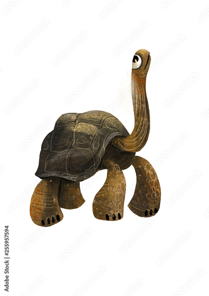 smart turtle with a long neck, a quiet turtle, a beautiful illustration ...