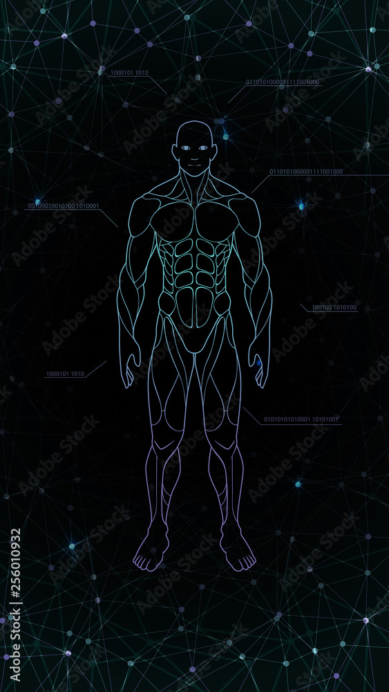 contour shape human body anatomy neon hologram projected at black ...
