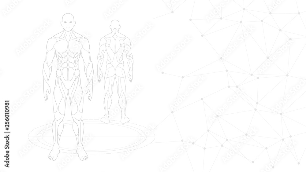 halftone gray white wallpaper background . contour shape human body ...