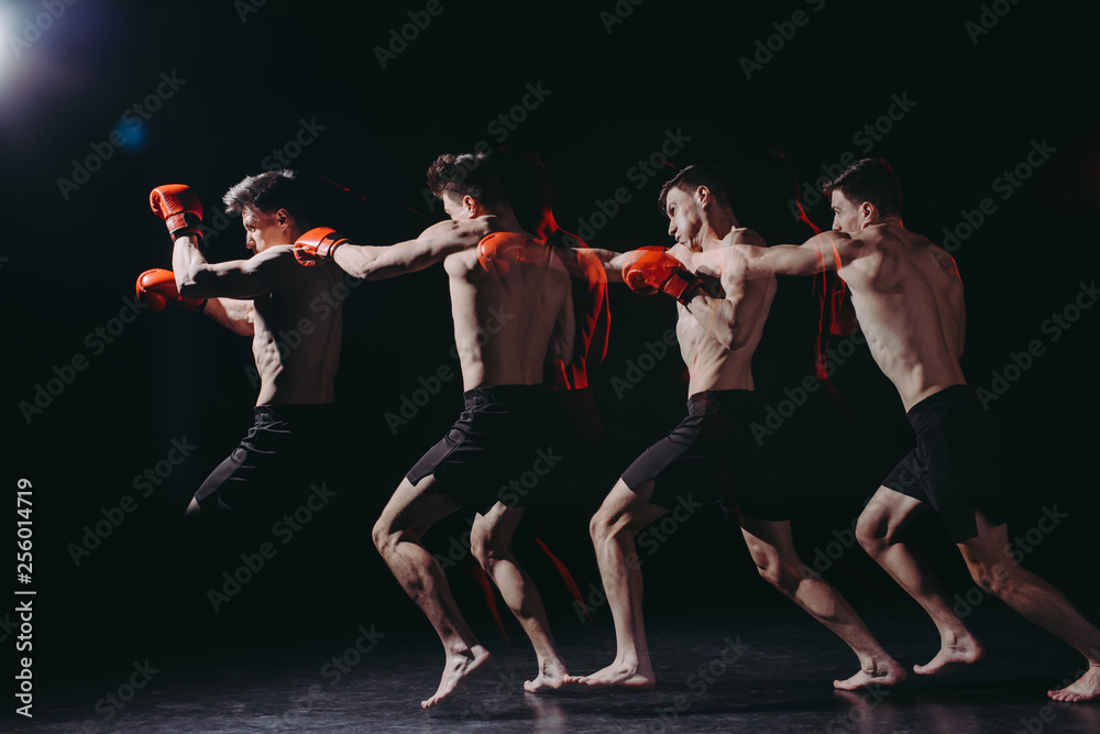 Multiple exposure of strong shirtless muscular boxer in boxing gloves ...