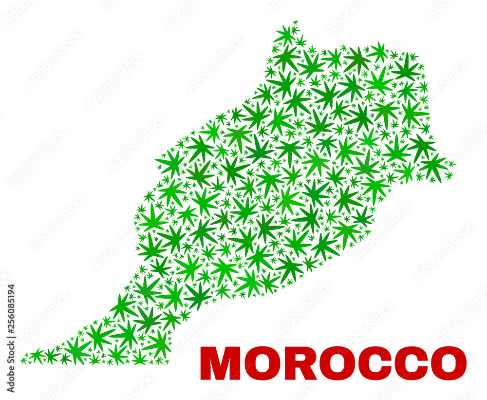 Vector marijuana Morocco map collage. Concept with green weed leaves ...