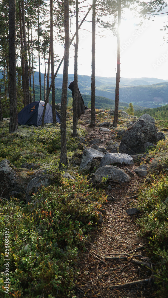 Wildcamping in the forest of Gardnos crater in Meteorite Park near ...