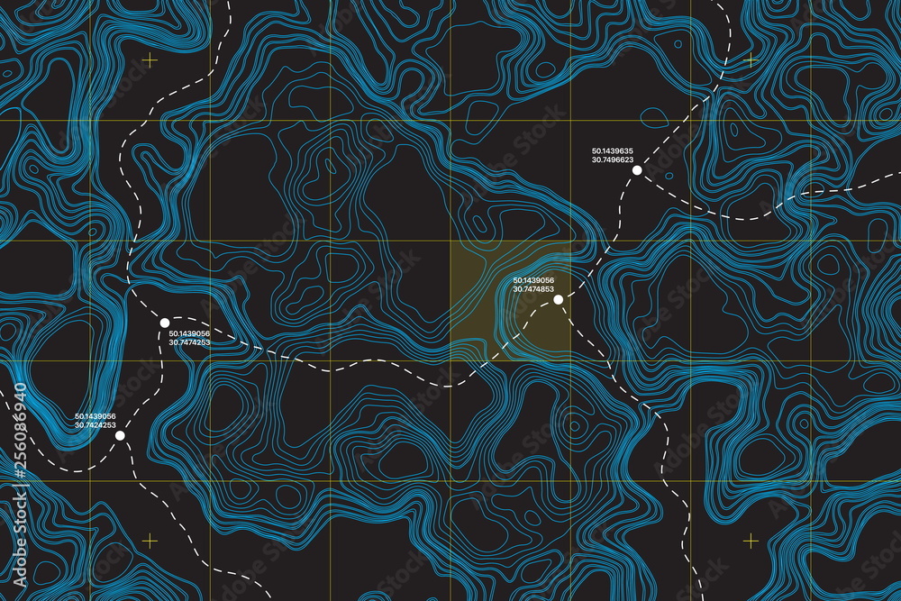 View From Above Lie Of The Ground Conceptual Vector Topographic Map ...