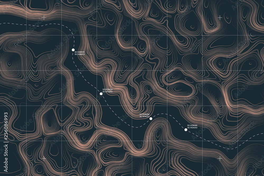 View From Above Alien Terrain Conceptual Vector Topographic Map With ...