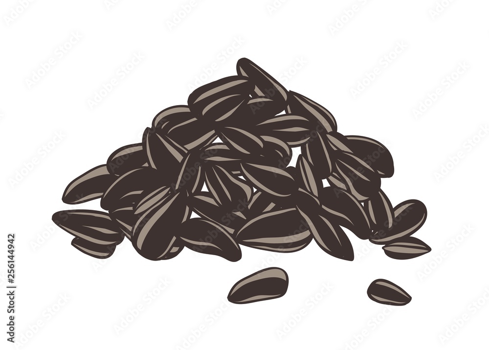 Sunflower Seed Drawing