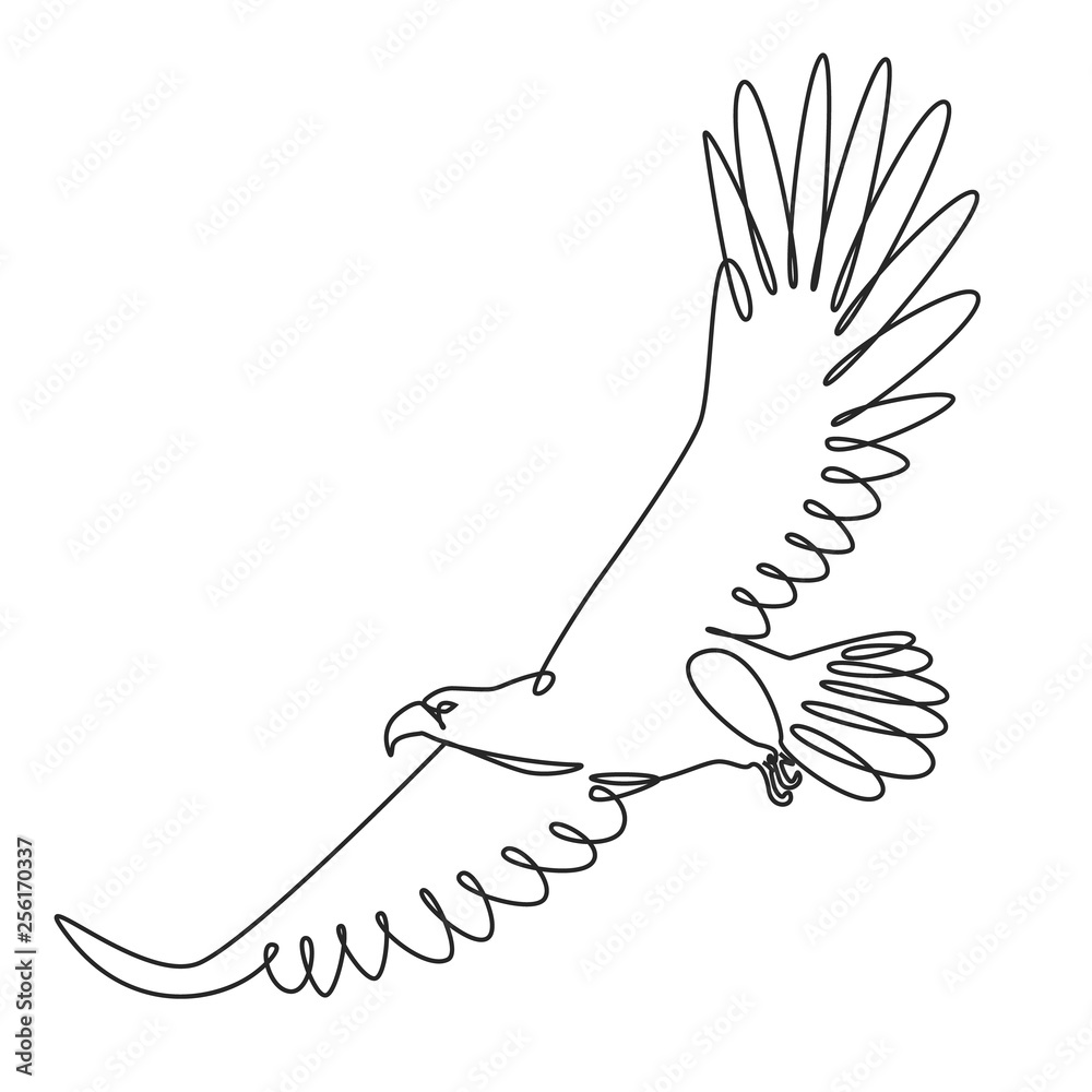 Drawing a continuous line. Eagle on white isolated background Stock ...