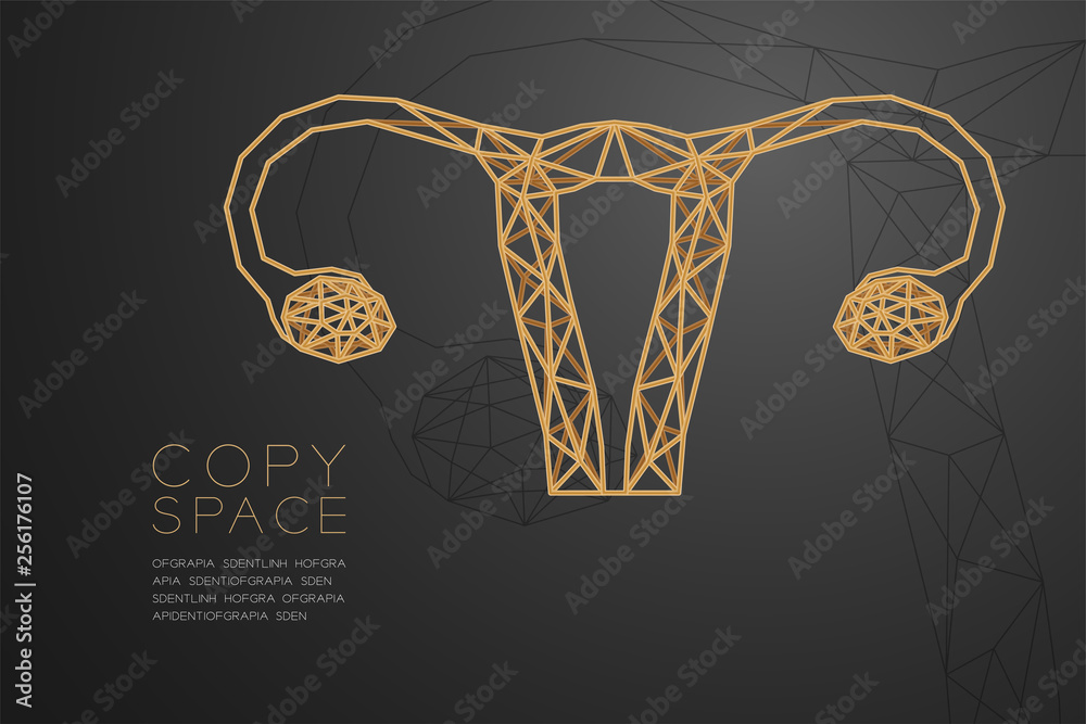 Ovary and uterus shape wireframe polygon golden frame structure ...