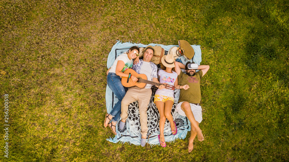 Top vertical aerial view of group of friends lay down on the meadow and ...