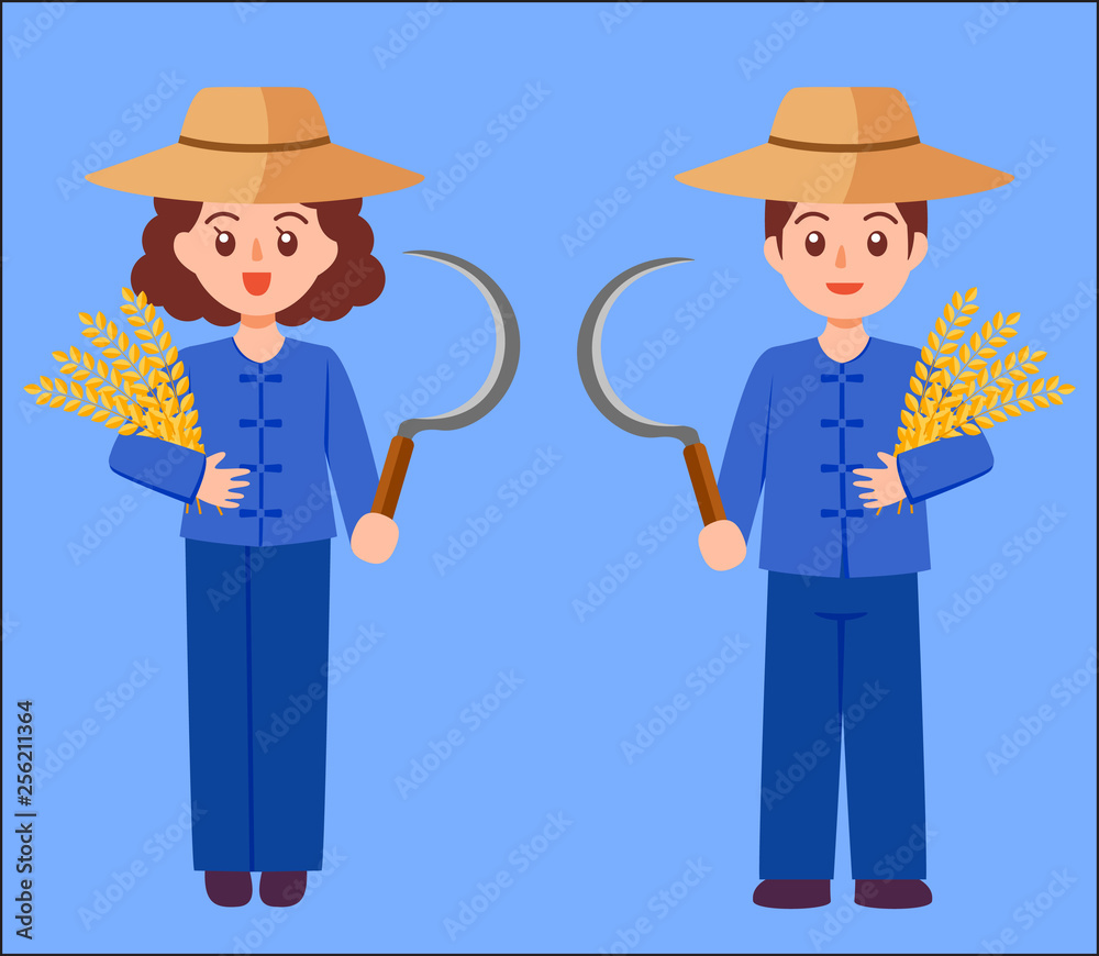 famale and male farmer harvest rice, Flat cartoon vector illustration ...