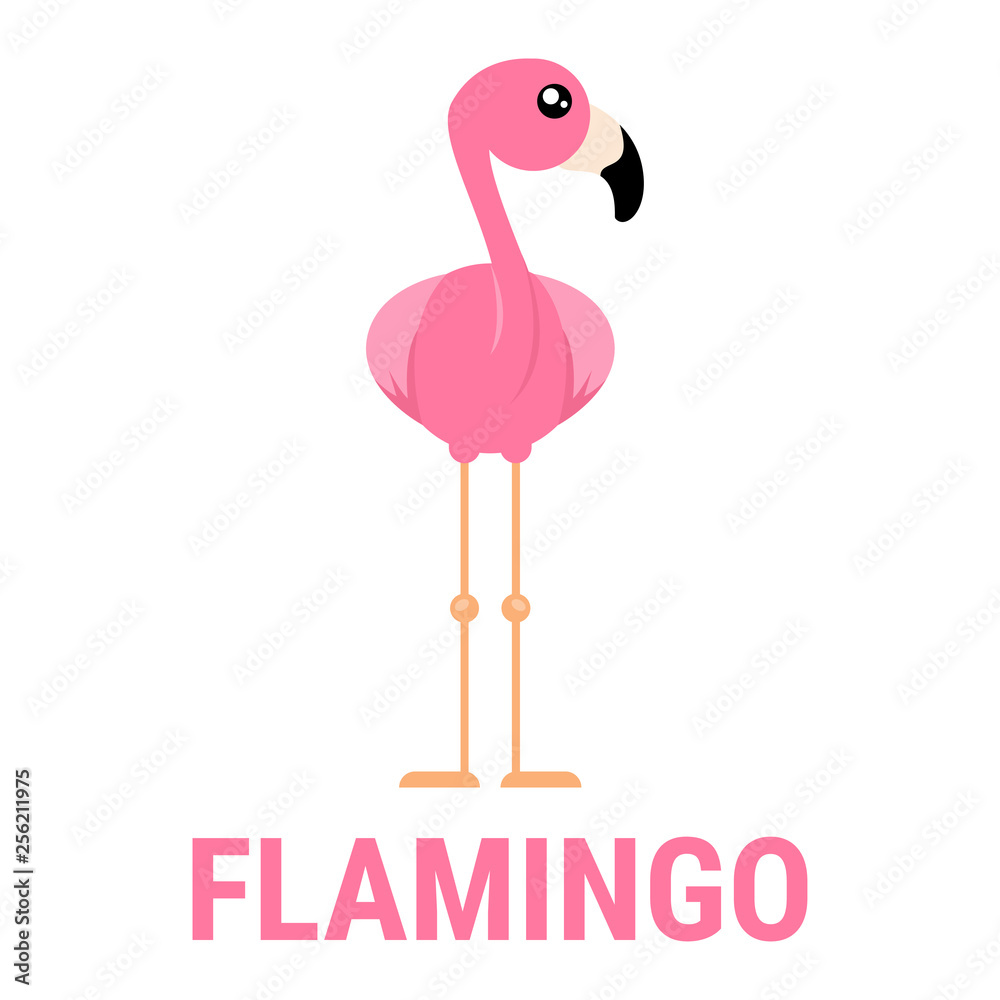 cartoon cute flamingo from the front vector with text Stock Vector ...