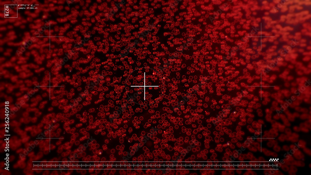 Red blood cells, erythrocytes as seen under microscope, live blood cell ...