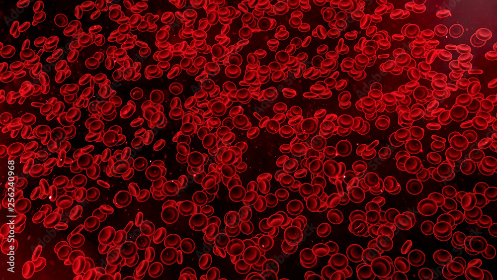 High density red blood cells under microscope, futuristic analysis ...
