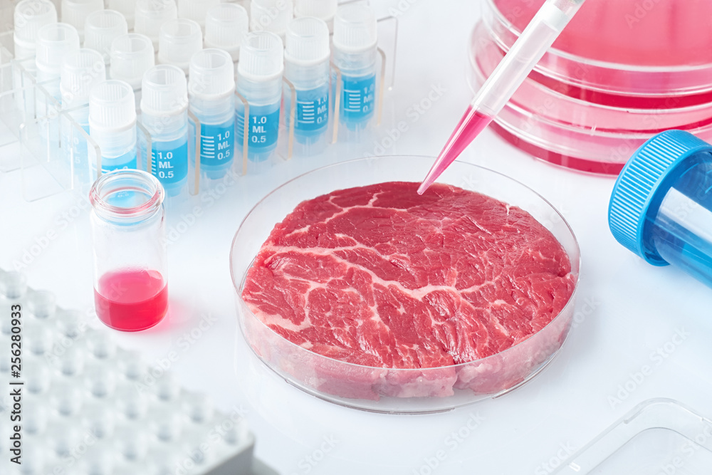 Foto de Meat sample in open disposable plastic cell culture dish in ...