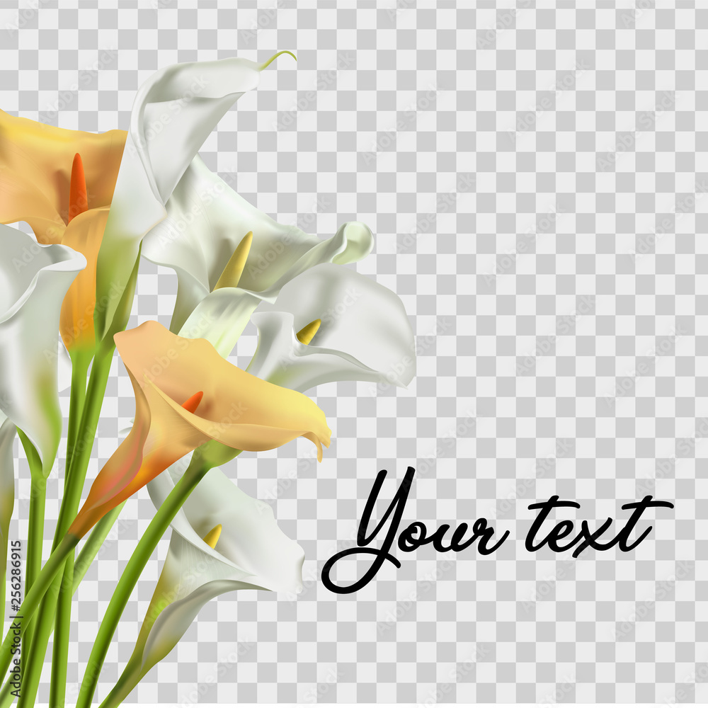 realistic Kala flower. for design of leaflets, banners. Colorful ...