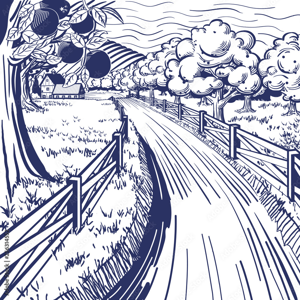 Poster Country toad leading to an apple orchard – Wall Art | UkPosters