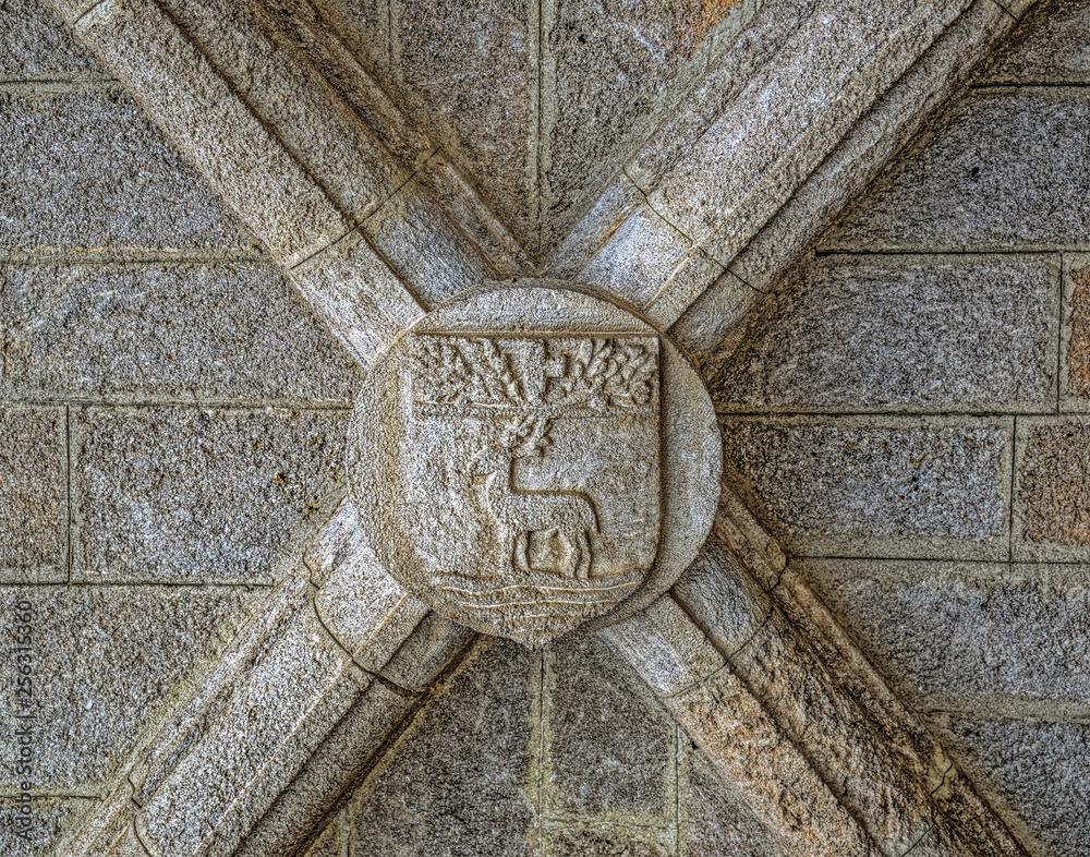 Texture of vintage ceiling of a ancient building with coat of arms in ...