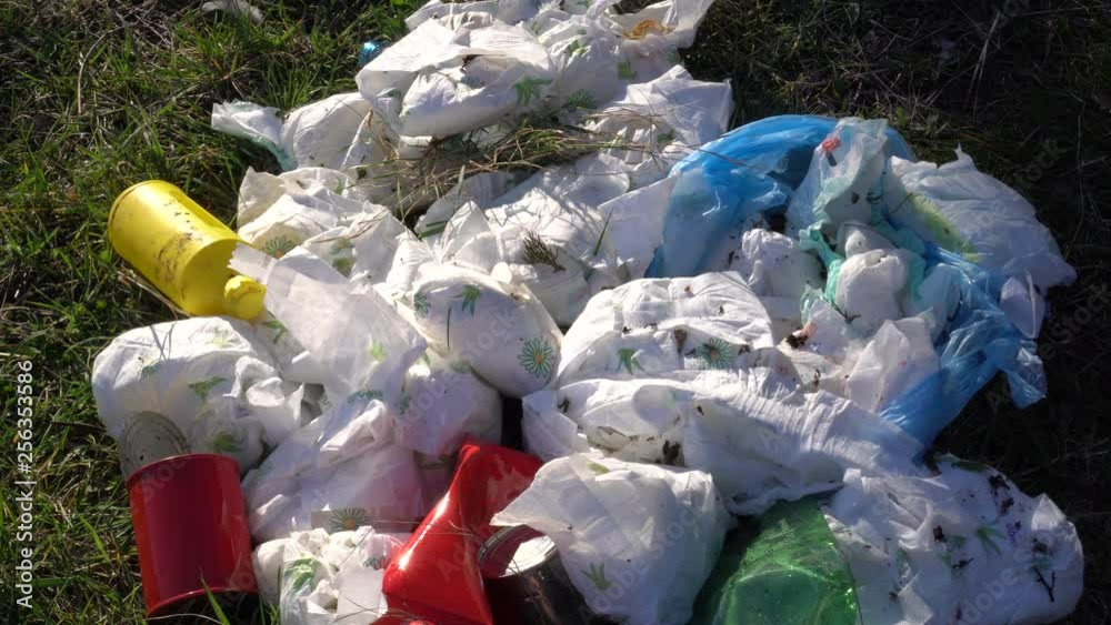 Used disposable baby diapers in a nature. Environmental pollution. The ...