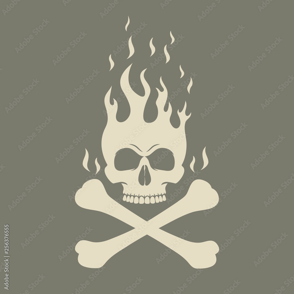 Skulls And Crossbones On Fire