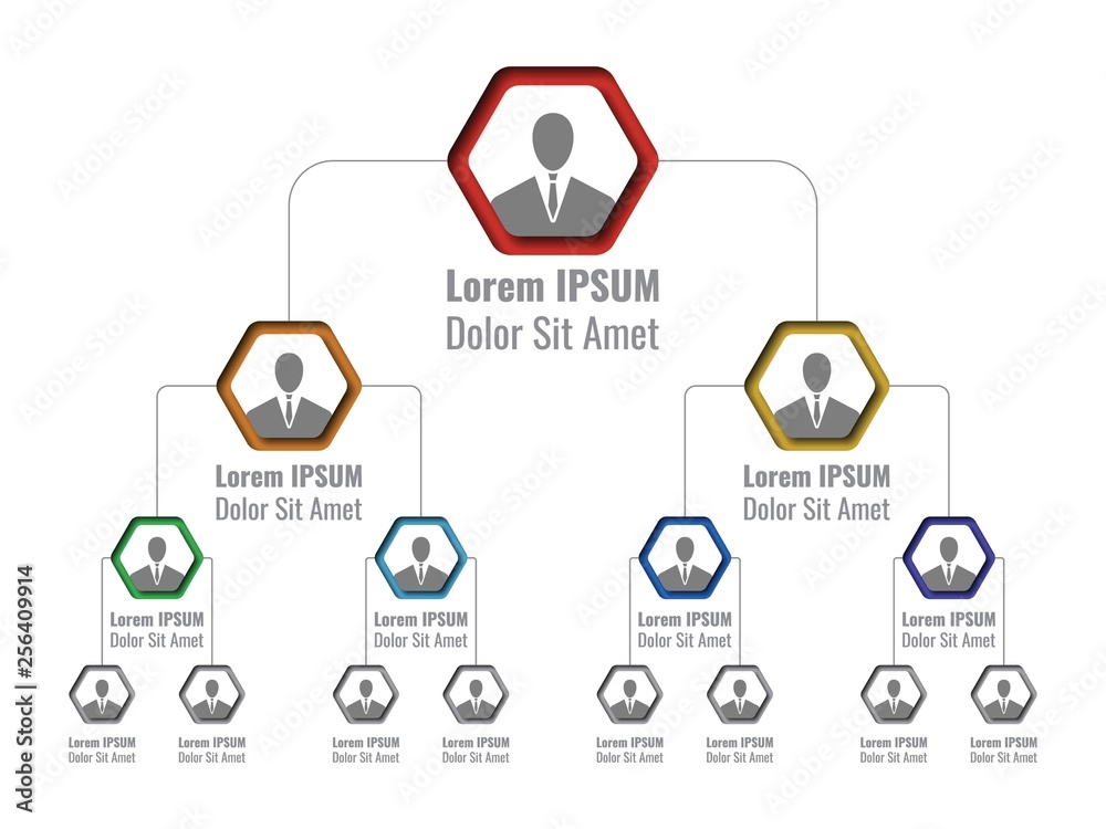 organizational structure of the company. business hierarchy infographic ...
