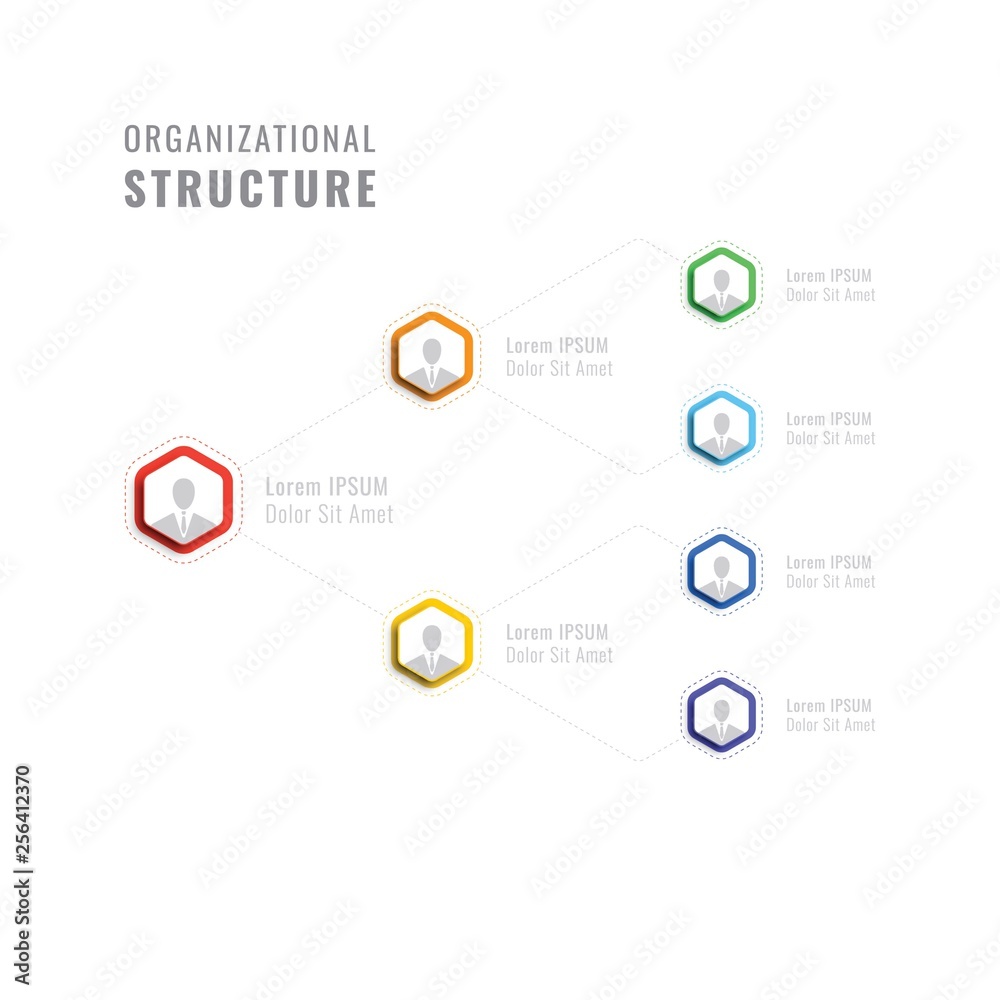 organizational structure of the company. business hierarchy hexagonal ...