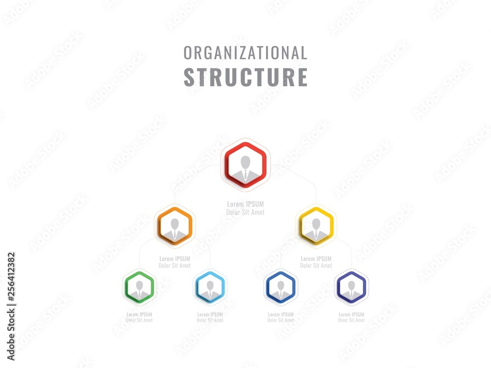 organizational structure of the company. business hierarchy hexagonal ...