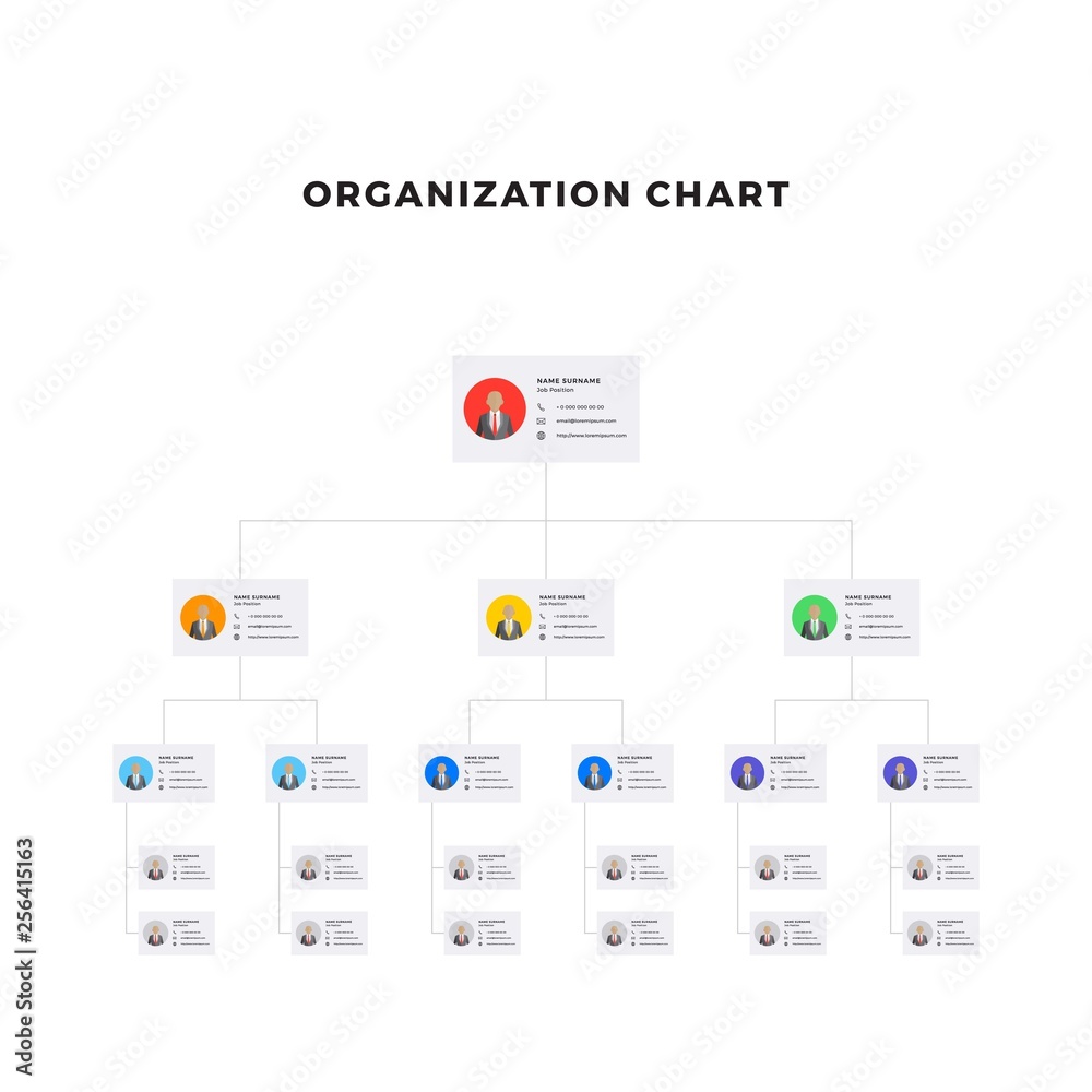 organizational structure of the company. business hierarchy infographic ...