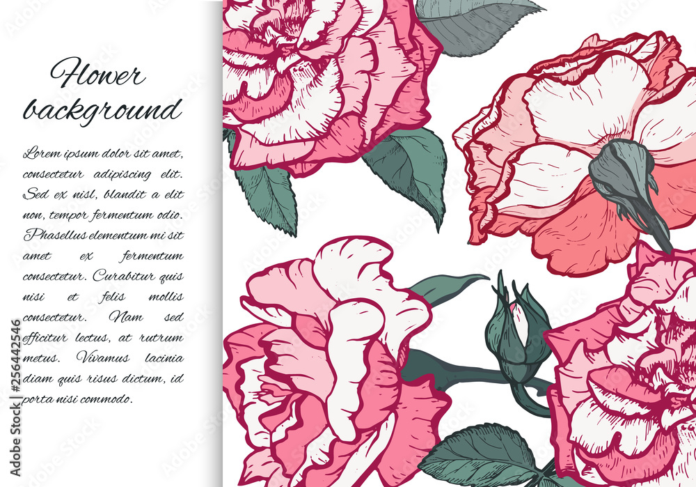 Floral background. Hand drawn vector botanical illustration. Template ...