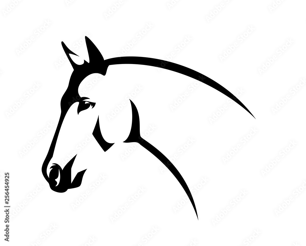 horse head side view - elegant thoroughbred stallion black and white ...