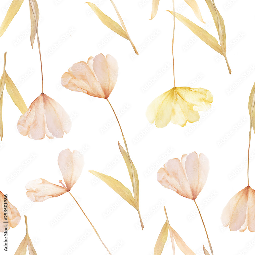 Pressed and dried tulip flowers pattern wallpaper on a white background ...